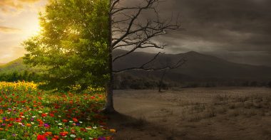 14 Awe-Inspiring Bible Verses About Nature - Bible Verses