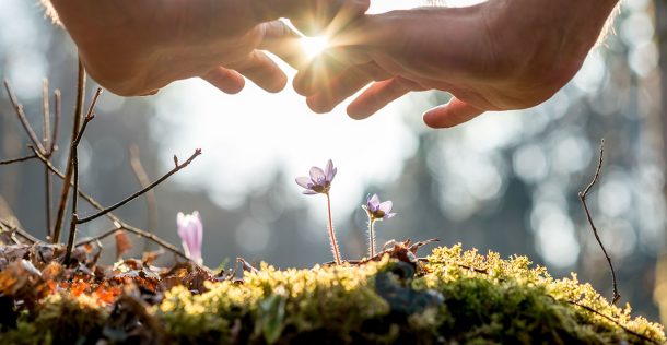 16 Bible Verses About Being Unique - Bible Verses