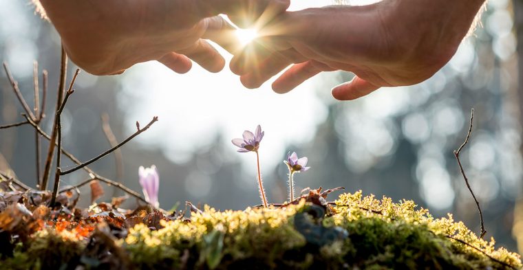 14 Awe-Inspiring Bible Verses About Nature - Bible Verses