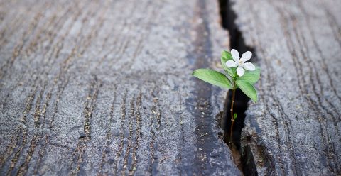 16 Bible Verses About Being Unique - Bible Verses