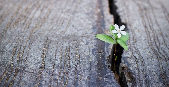 16 Bible Verses About Being Unique - Bible Verses