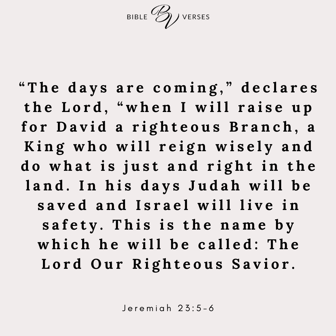 Verse of the Day - Bible Verses