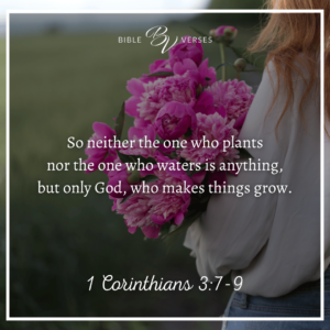 A Biblical Bouquet: 15 Bible Verses About flowers