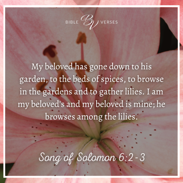 A Biblical Bouquet: 15 Bible Verses About flowers