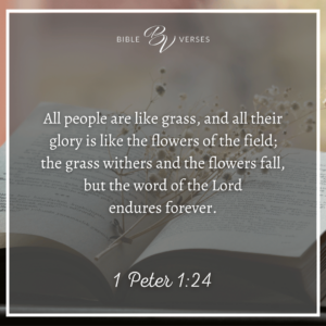 A Biblical Bouquet: 15 Bible Verses About flowers