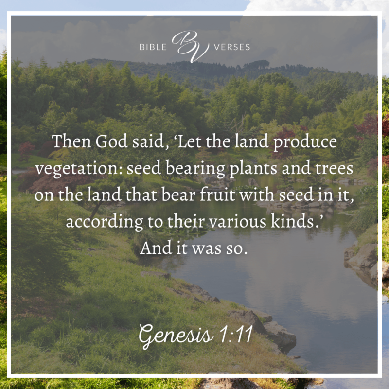 A Biblical Bouquet: 15 Bible Verses About flowers