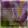 A Biblical Bouquet: 15 Bible Verses About flowers