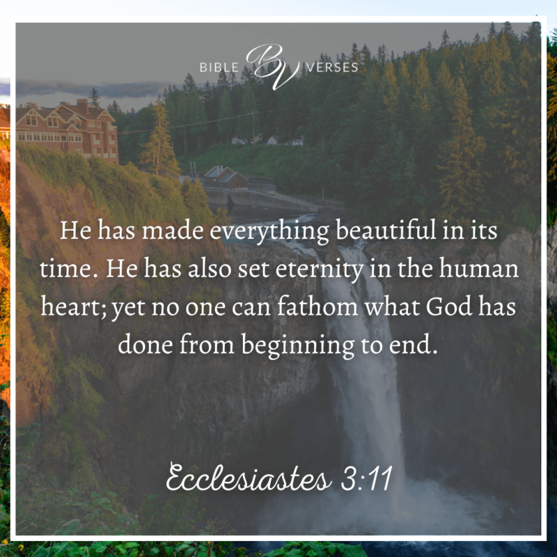 Radiate His Glory: 15 Bible Verses about Beauty